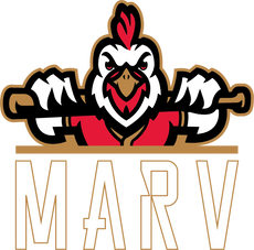 Marv Balls (PLYO) – Marv Training